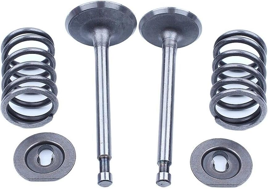 Amazon.com: GOLDEN REIGN in. & Ex. Valve Spring Retainer Set for Honda ...