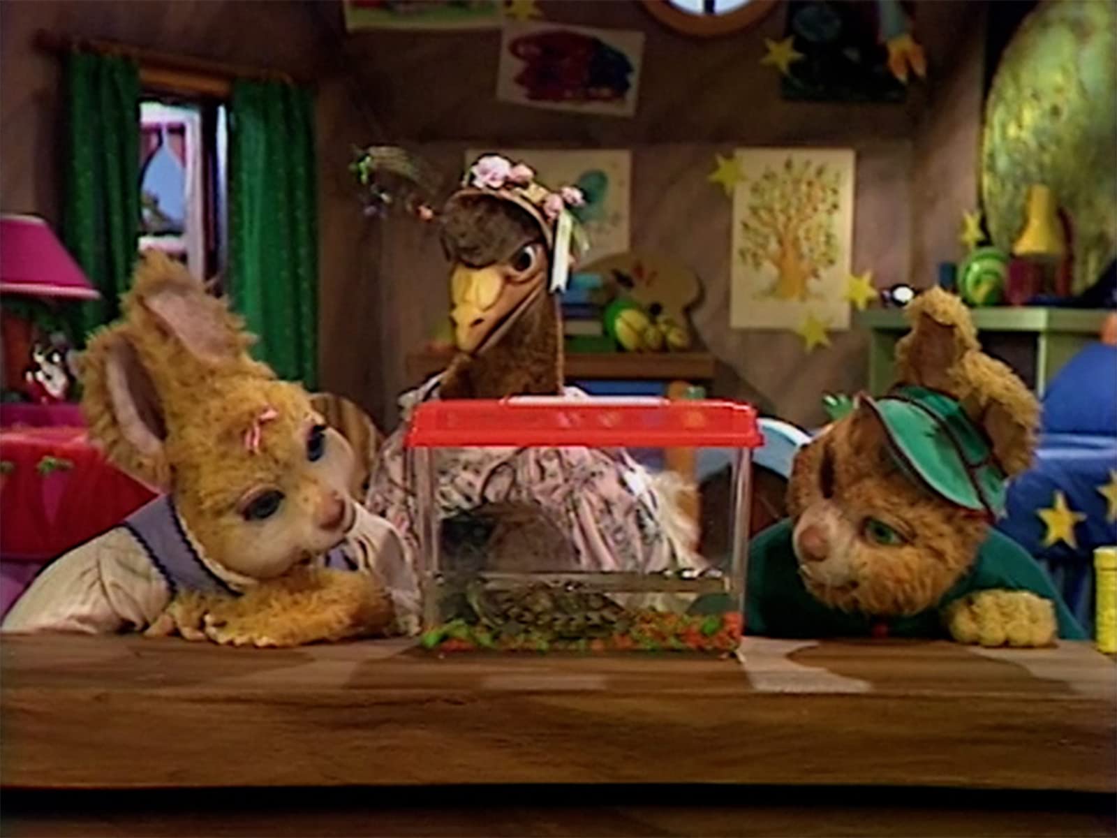 Watch Bingo & Molly | Prime Video