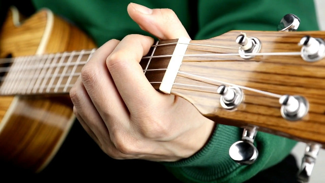 Watch Caramel 30 inch CB103 Zebra wood High Gloss Baritone LCD color ...