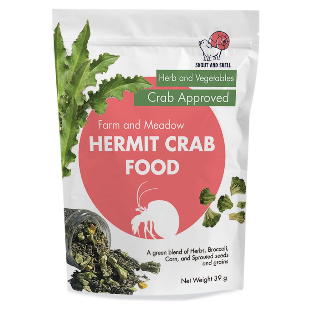 Hermit Crab Food List