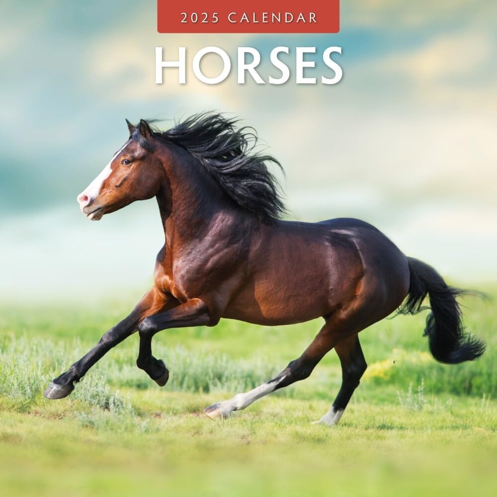 Amazon.com: Red Robin 2025 Horses Monthly Wall Calendar | 12" x 24 ...