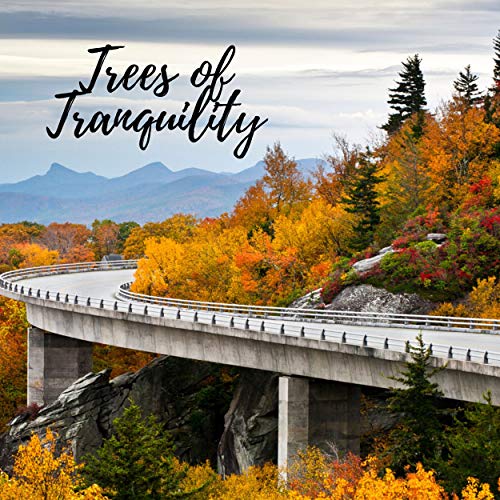 Amazon.com: Trees of Tranquility : 520Hz: Digital Music