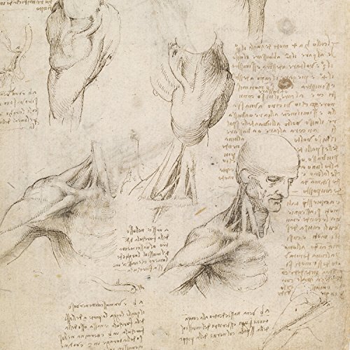 Amazon.com: March 2018 : Michael Wall: Digital Music