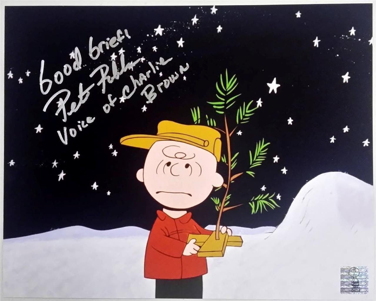 Peter Robbins Voice Of Charlie Brown Signed 8x10 Photo OC Dugout ...
