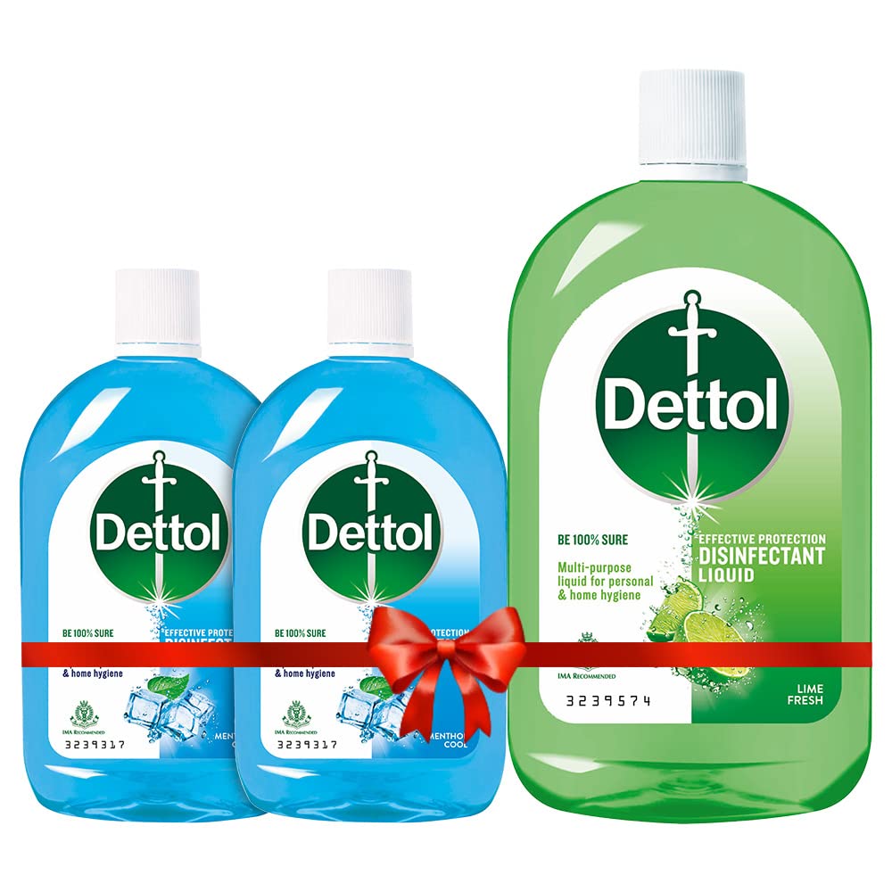 Buy Dettol Disinfectant Liquid (Menthol Cool) - 500 ml (Pack of 2 ...