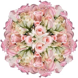 Amazon.com: GlobalRose 200 Fresh Cut Pastel Roses - Light Orlando Roses ...