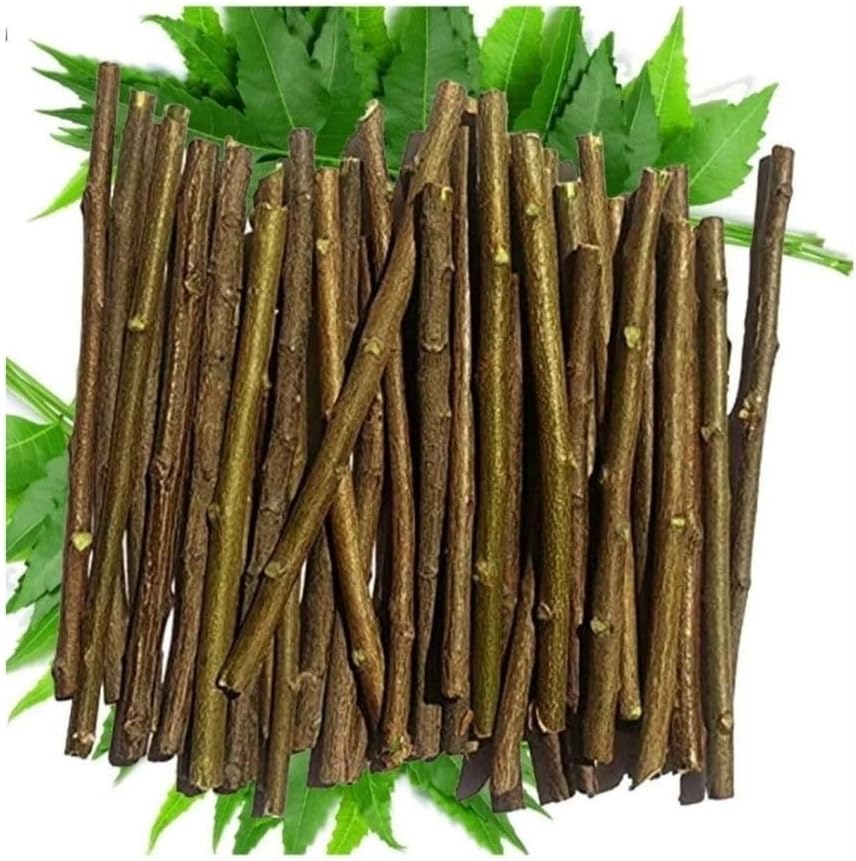 Amazon.com : Ayurvedic Natural Organic Neem Datun, Manual Toothbrush ...