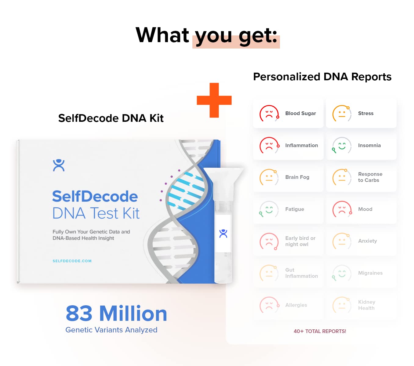 Self Dna Tests