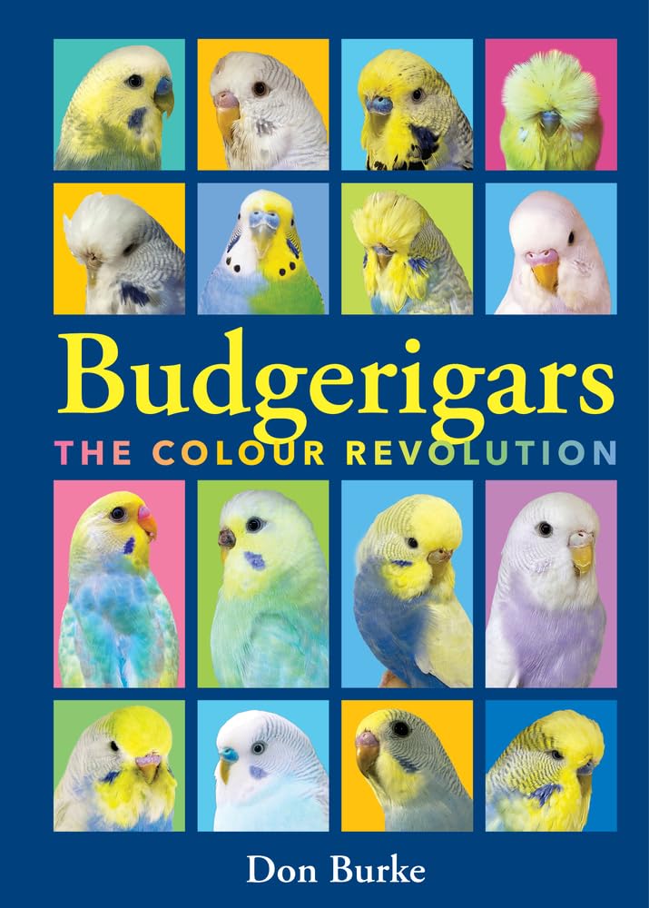Budgerigars: The Color Revolution: Burke, Don: 9781760796105: Amazon ...
