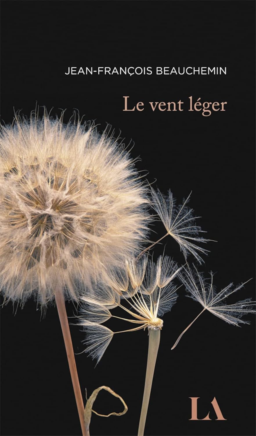 Vent léger (Le): Beauchemin, Jean-François: 9782764451533: Books ...