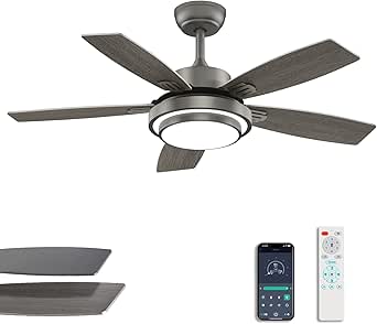 Fanbliss 42 Inch Ceiling Fans with Lights and Remote/APP Control ...
