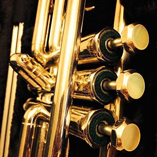 Amazon Music - Dylan ChavezのPre 2018 - Amazon.co.jp