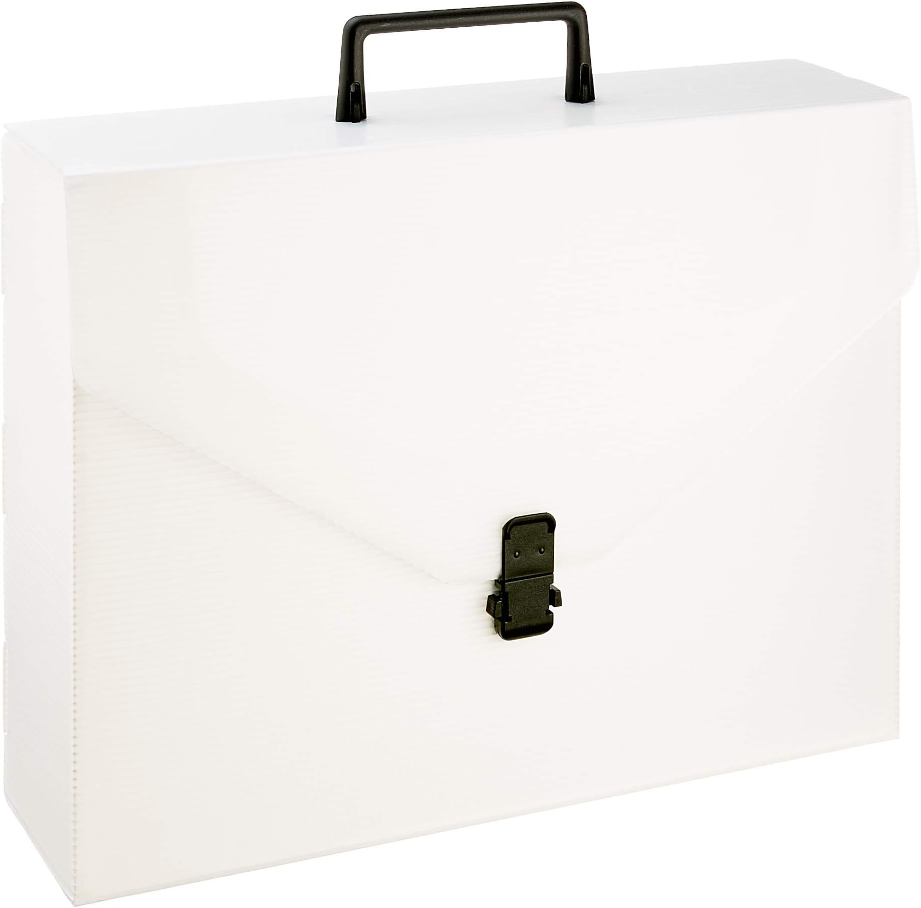 Fellowes M298 Valigetta in Polionda, 29x39 cm, Dorso 10 cm : Amazon.it ...