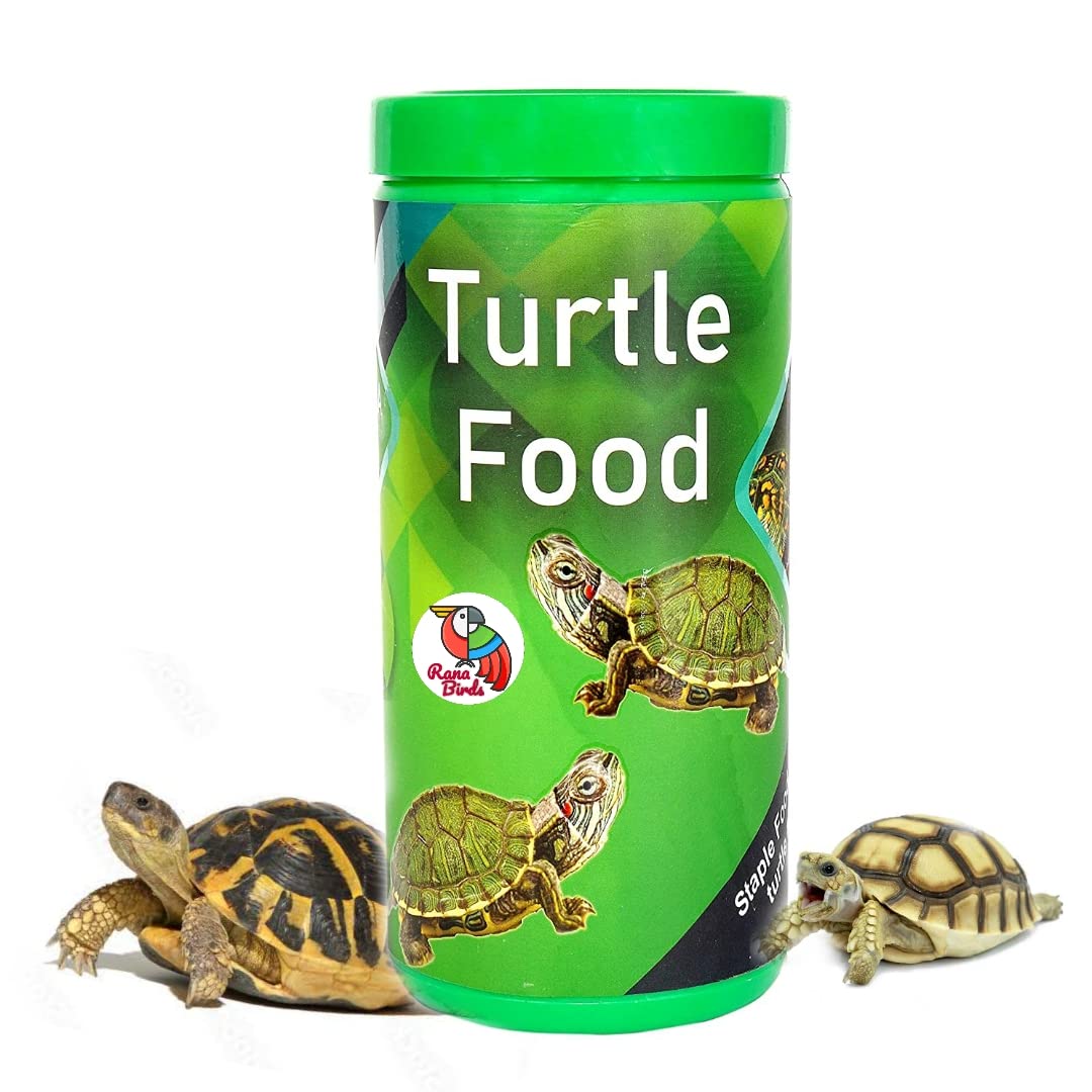 Star Turtle Food