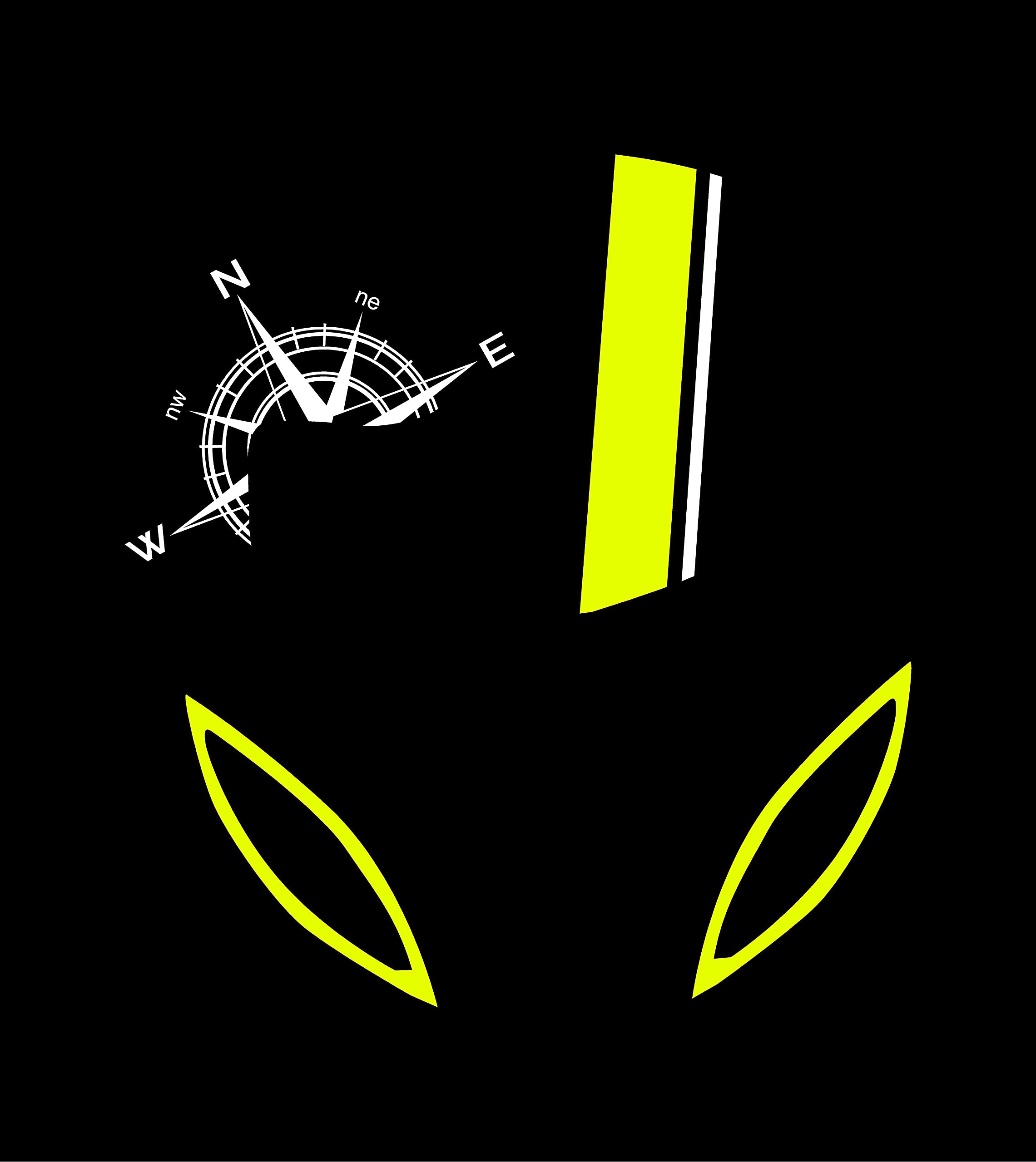 Pulsar 220 Stickering Modification