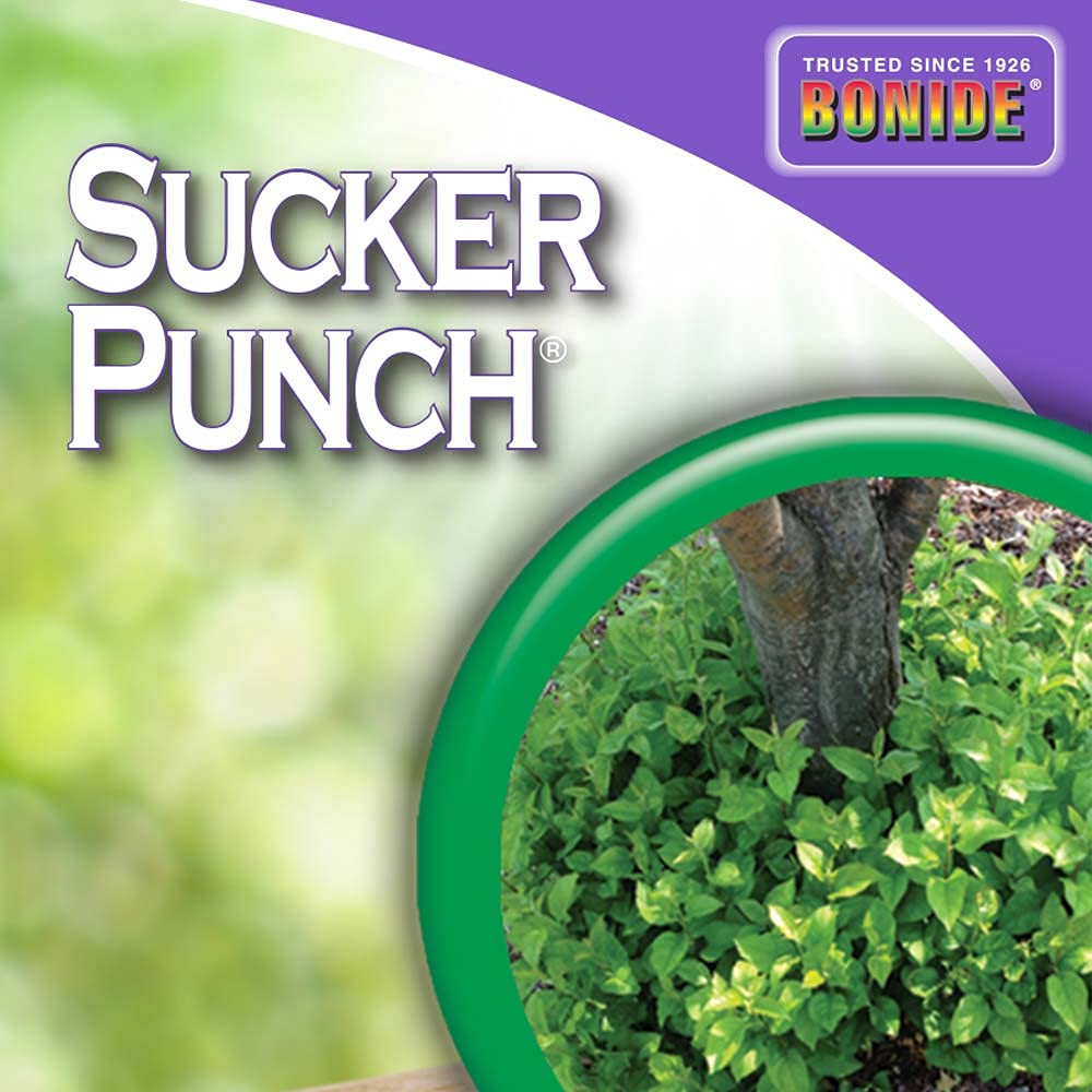 Bonide (BND2761) - Ready to Use Sucker Punch, Stop Suckers Sprouting ...