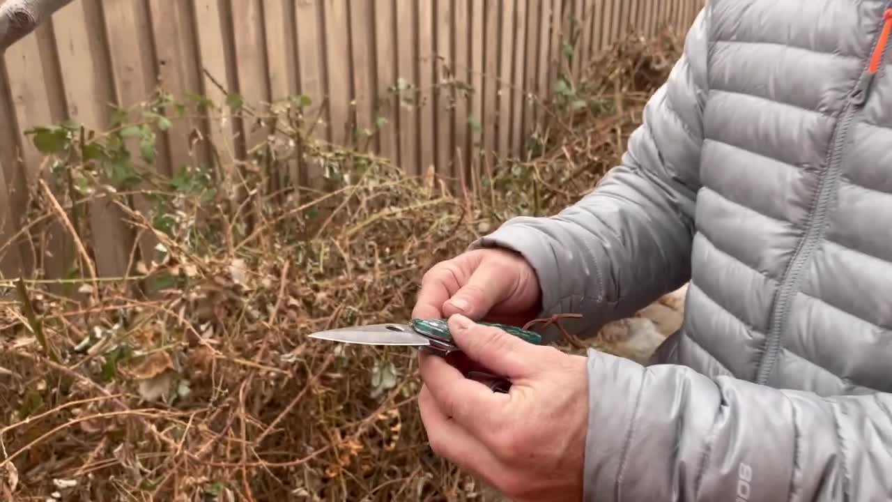 Watch Benkey Beautiful Abalone Shells Pocket Knife with nice leather ...