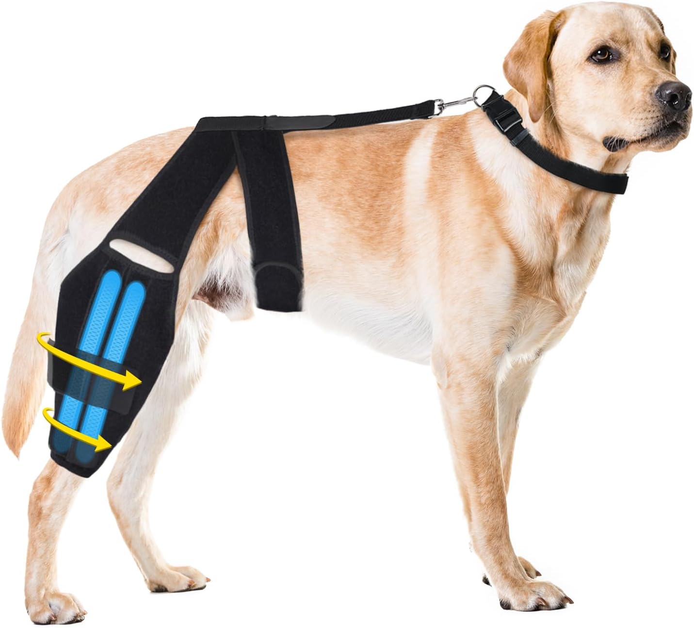Amazon.com : Dog Knee Brace for Torn ACL Hind Leg, Dog Leg Braces for ...