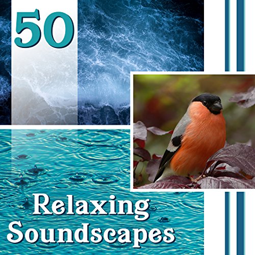 Amazon Music - Nature Sounds Paradiseの50 Relaxing Soundscapes: Natural ...