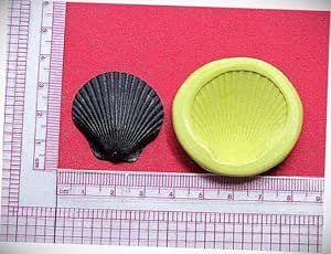 Amazon.com: Chocolate Molds Sea Shell Seashell Silicone Mold A975 For ...