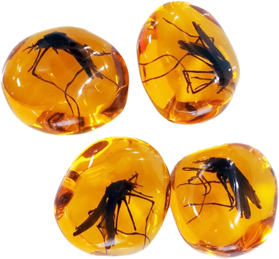 Amazon.com: VEOJEIN Mosquito in Amber Fossil Replica – DNA's Ancient ...