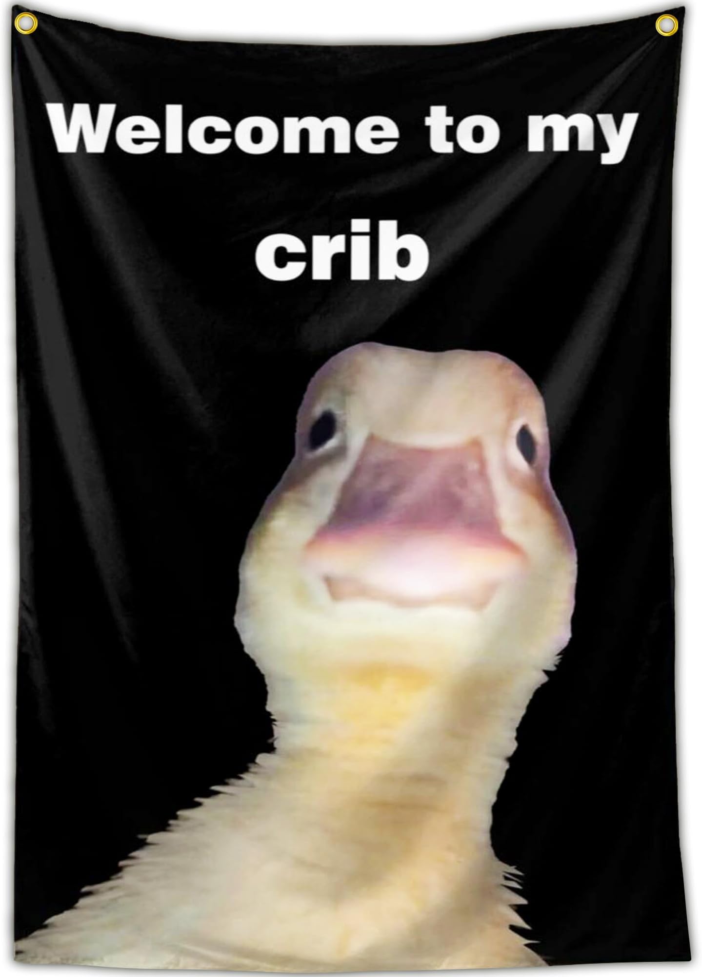Amazon.com : Cuiliqun Welcome to My Crib Duck Flag 3x5 Ft Funny ...