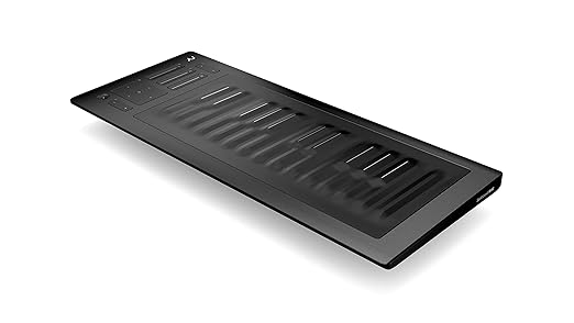 Roli Seaboard Rise 25 MIDI Controller : Amazon.in: Musical Instruments