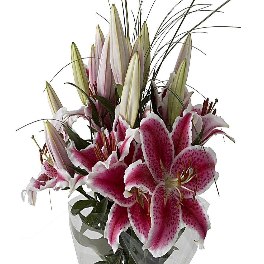 Ramo De Lirios Blancos Stargazer RAMO 9 LIRIOS – Importadora