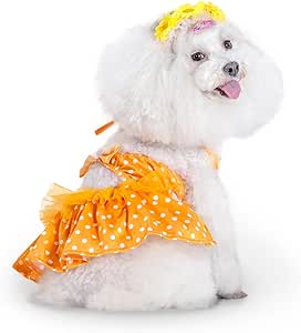 Amazon.com : CuteBone One Piece Dog Bikini Swimsuit Dress Puppy Bathing ...