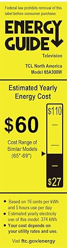 Amazon.com: TCL 65 Inch Class NXTVISION Series Picture Frame Canvas Art ...