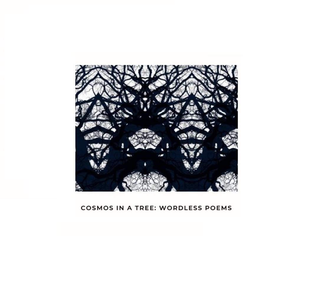 Cosmos in a Tree: Wordless Poems eBook : Acosta, Bremer: Amazon.in ...