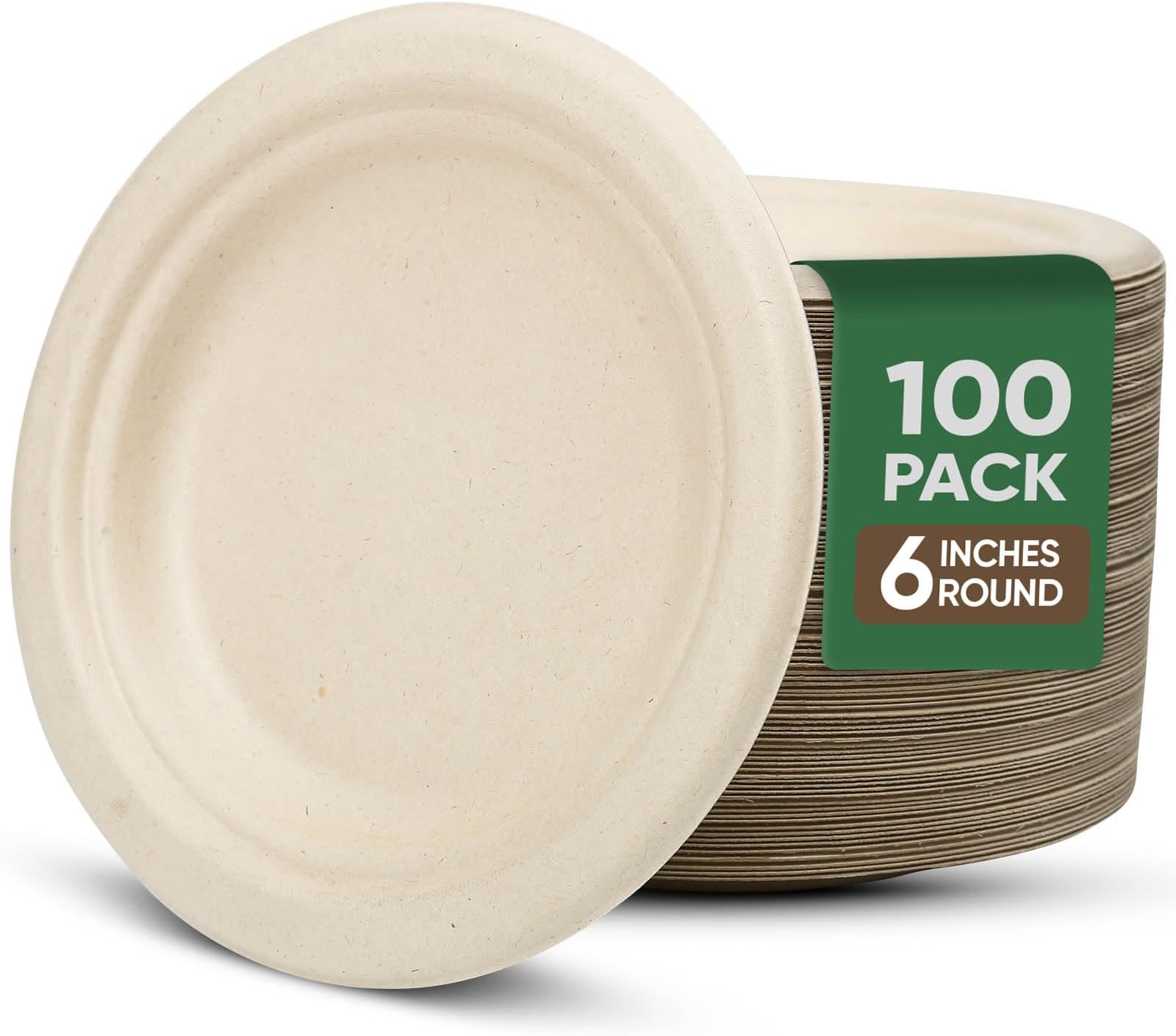Amazon.com: TaidMiao Paper Plates 6 Inches, 100 Pack Disposable Plates ...