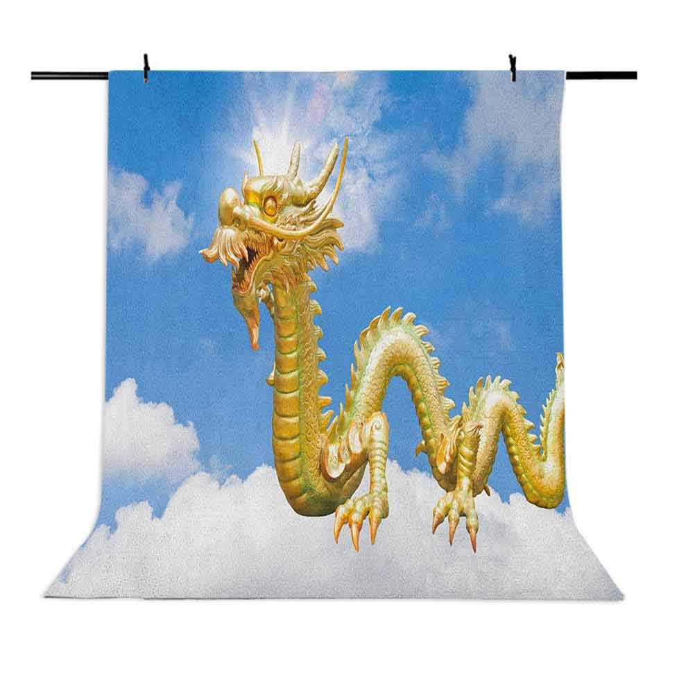 Buy 8x12 FT Dragon Vinyl Photography Background Backdrops,Traditional ...