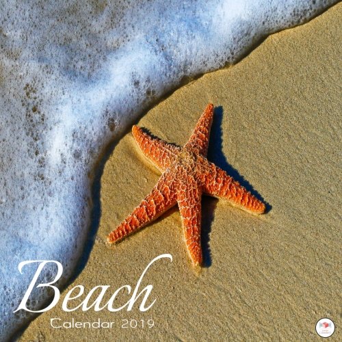 Beach Calendar 2019: Beaches 2019 Wall Calendar Mini 8.5 x 8.5 12 Month ...