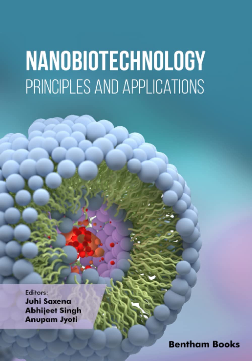 Nanobiotechnology: Principles and Applications: Saxena, Juhi, Singh ...