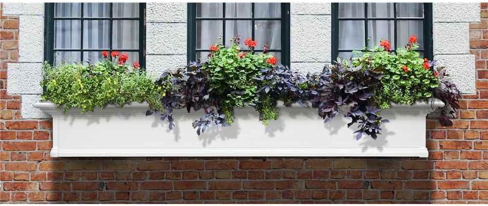 Amazon.com : Mayne Yorkshire 6' Vinyl Window Box Planter Kit : Patio ...
