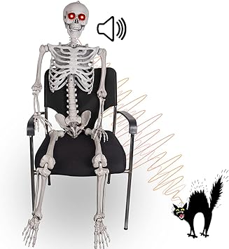 Amazon.com: Halloween Posable Skeleton - 5.5FT Life Size Skeleton ...