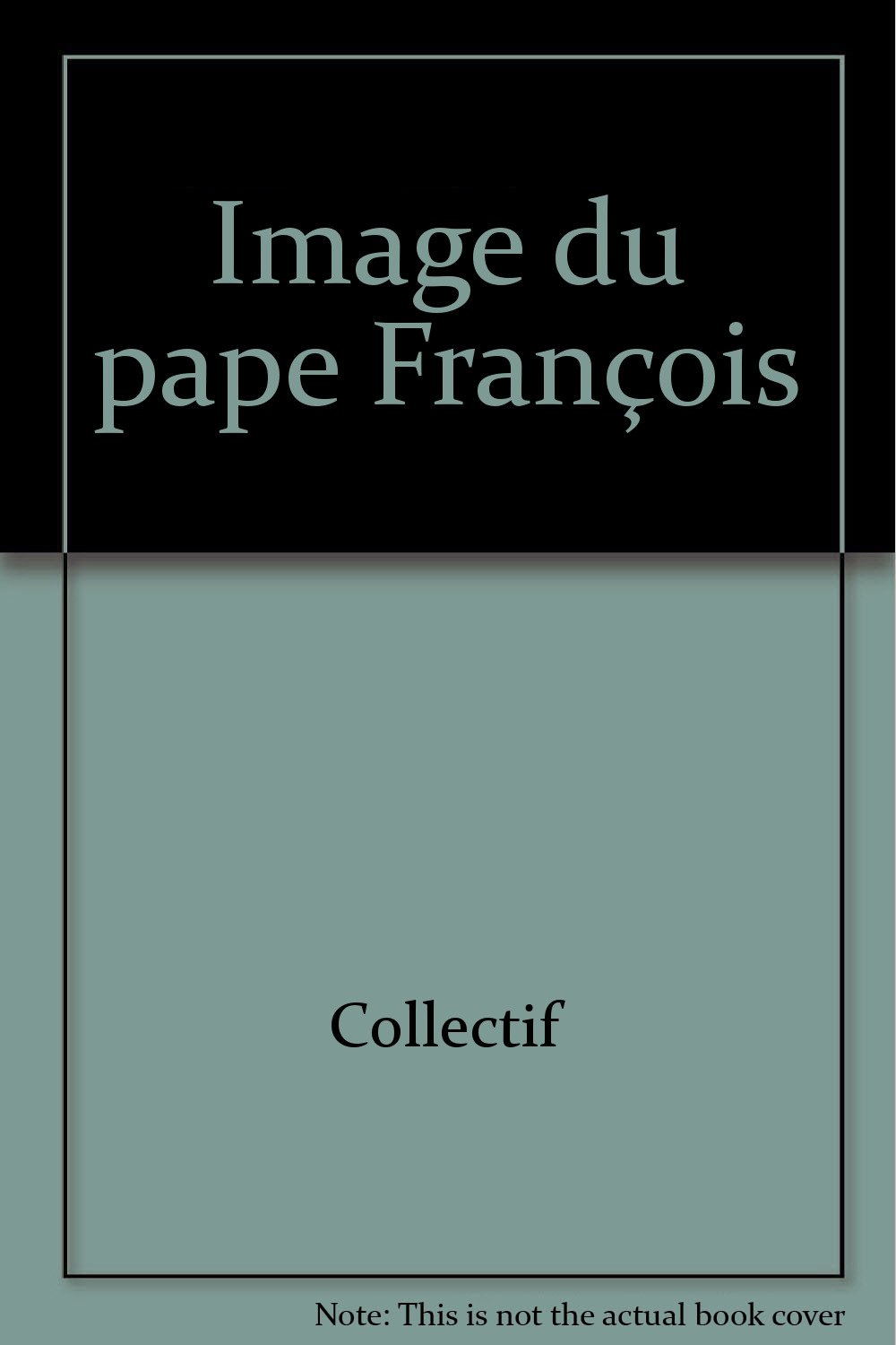 Amazon.com: Image de notre pape François (x25): 9782918280125: MALCOLM ...