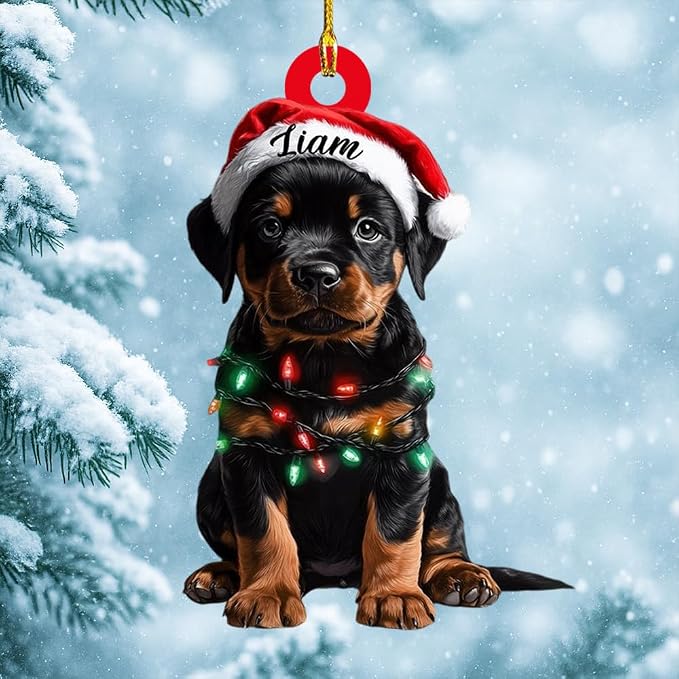 Amazon.com: Famitrendz Custom Rottweiler Acrylic Christmas Ornament ...