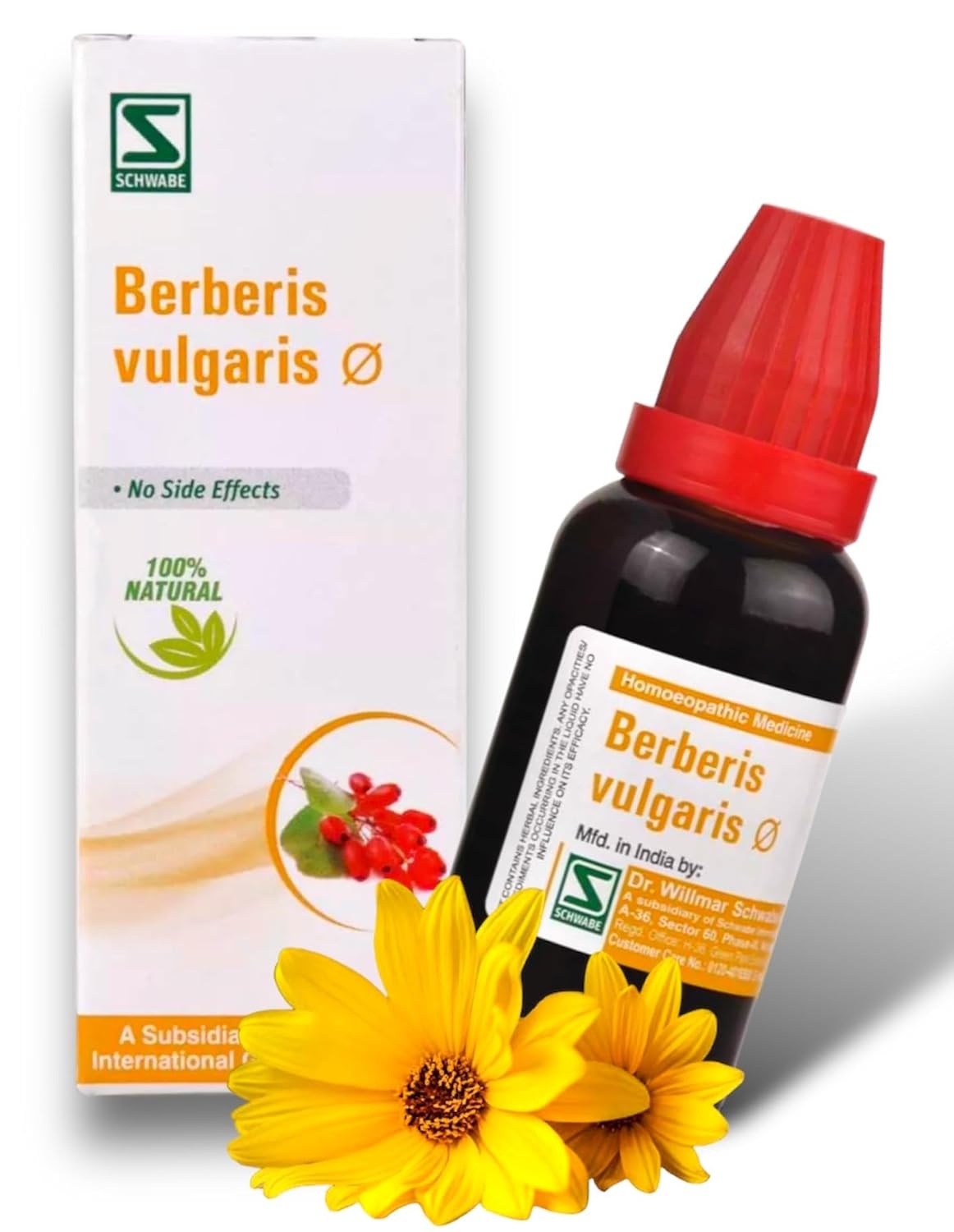 Willmar Schwabe Berberis Vulgaris Q Mother Tincture (30ml) - Set of 2 ...