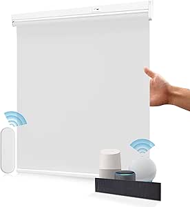 Amazon.com: Allesin Motorized Roller Blinds Shade with Remote Control for Windows, Blackout ...