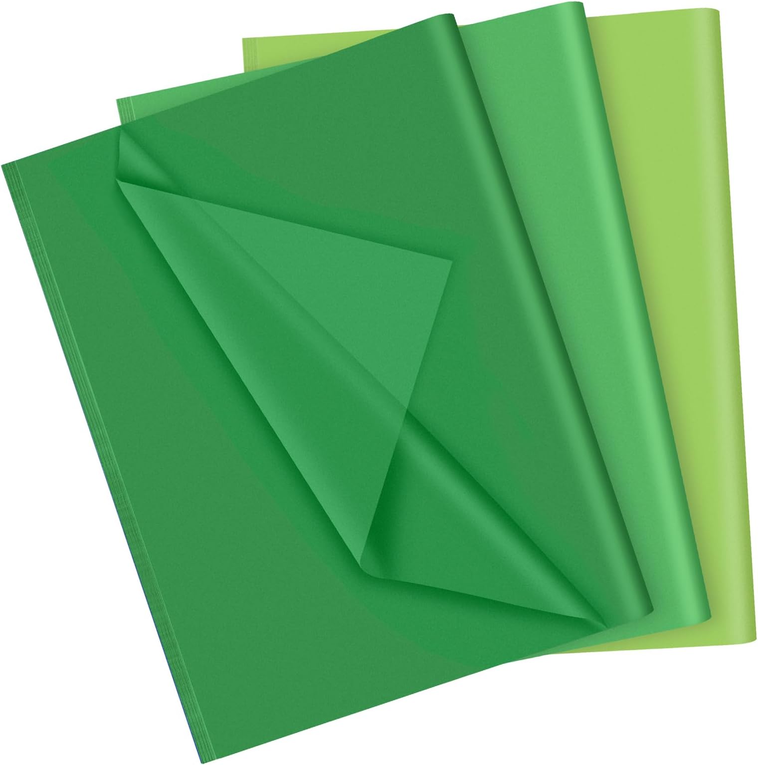 Amazon.com: TCDesignerProducts Purple Tissue Parade Float Pomps Pack of ...