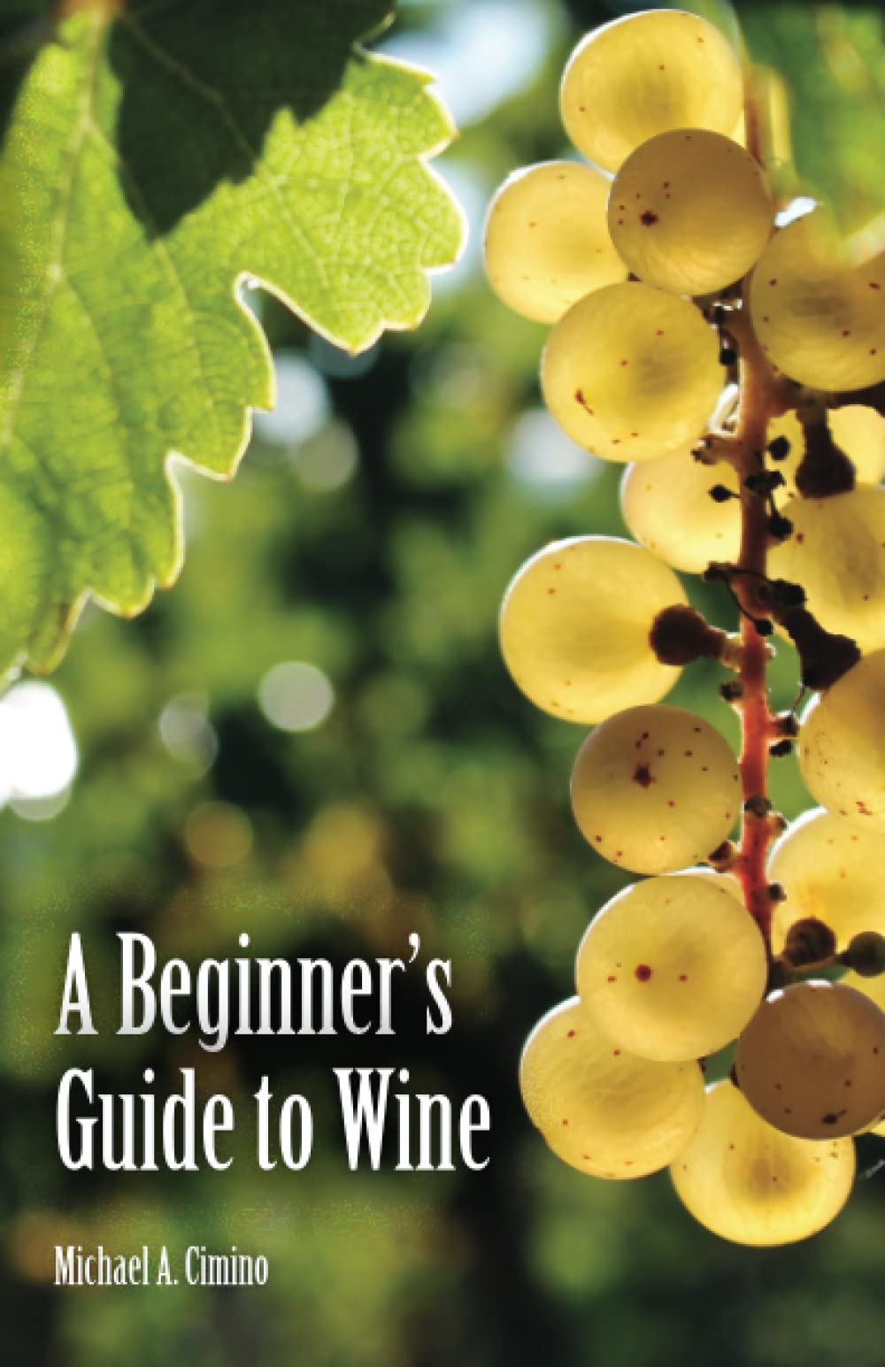 Snapklik.com : A Beginners Guide To Wine