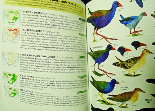 Birds of Southern Africa: Fourth Edition (Princeton Field Guides, 79 ...