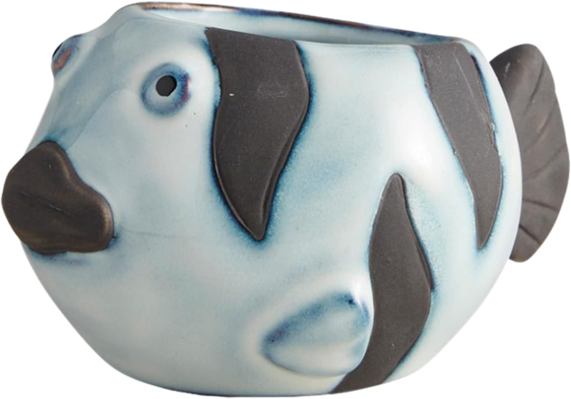Amazon.com: VanEnjoy 5" Ceramic Succulent Pot, Cute Ocean Blue Seashell ...