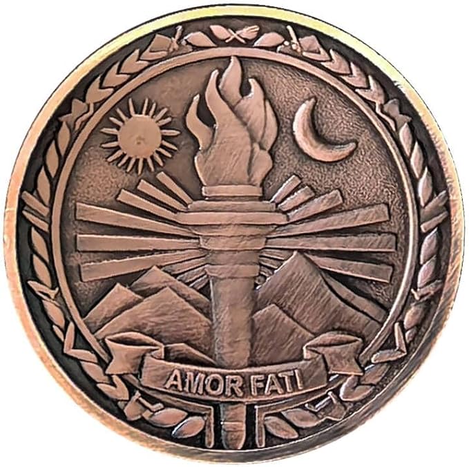 Amazon.com: Amor Fati Resilience Emblem Challenge Coin - Stoic ...