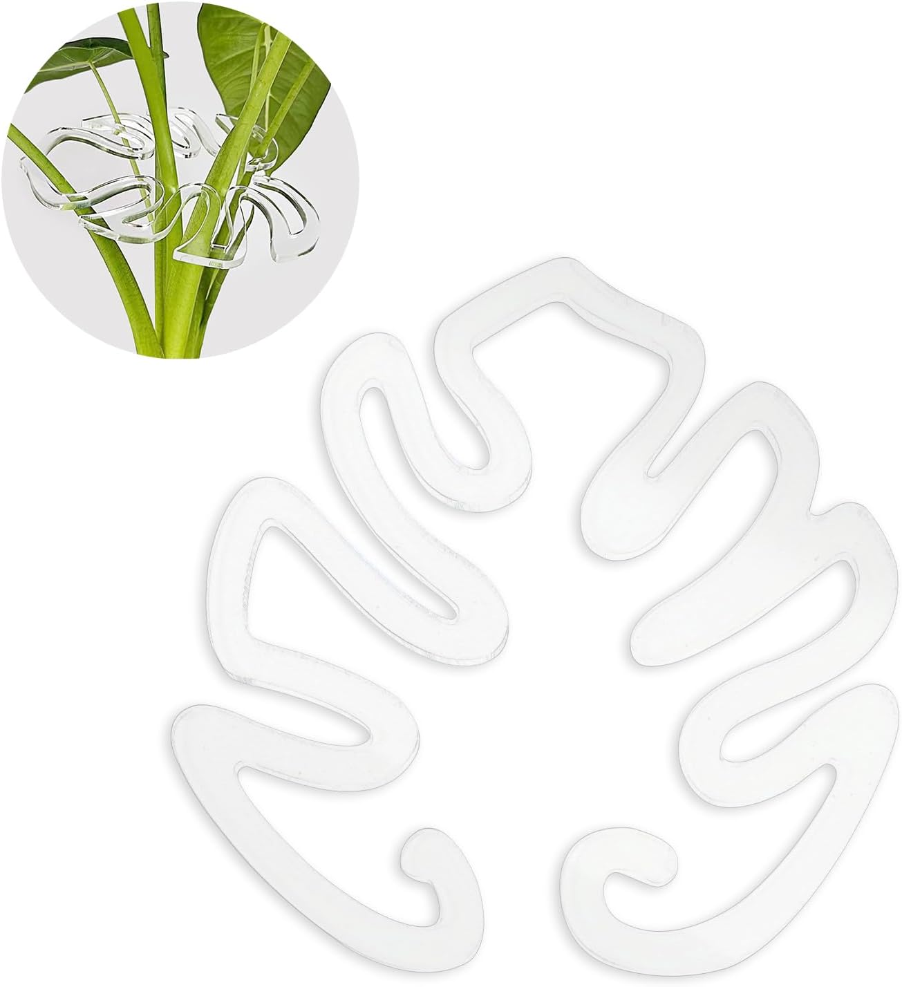 Amazon.com : ZGJYY Plant Stem Support,Plant Stem Holder, Plastic ...