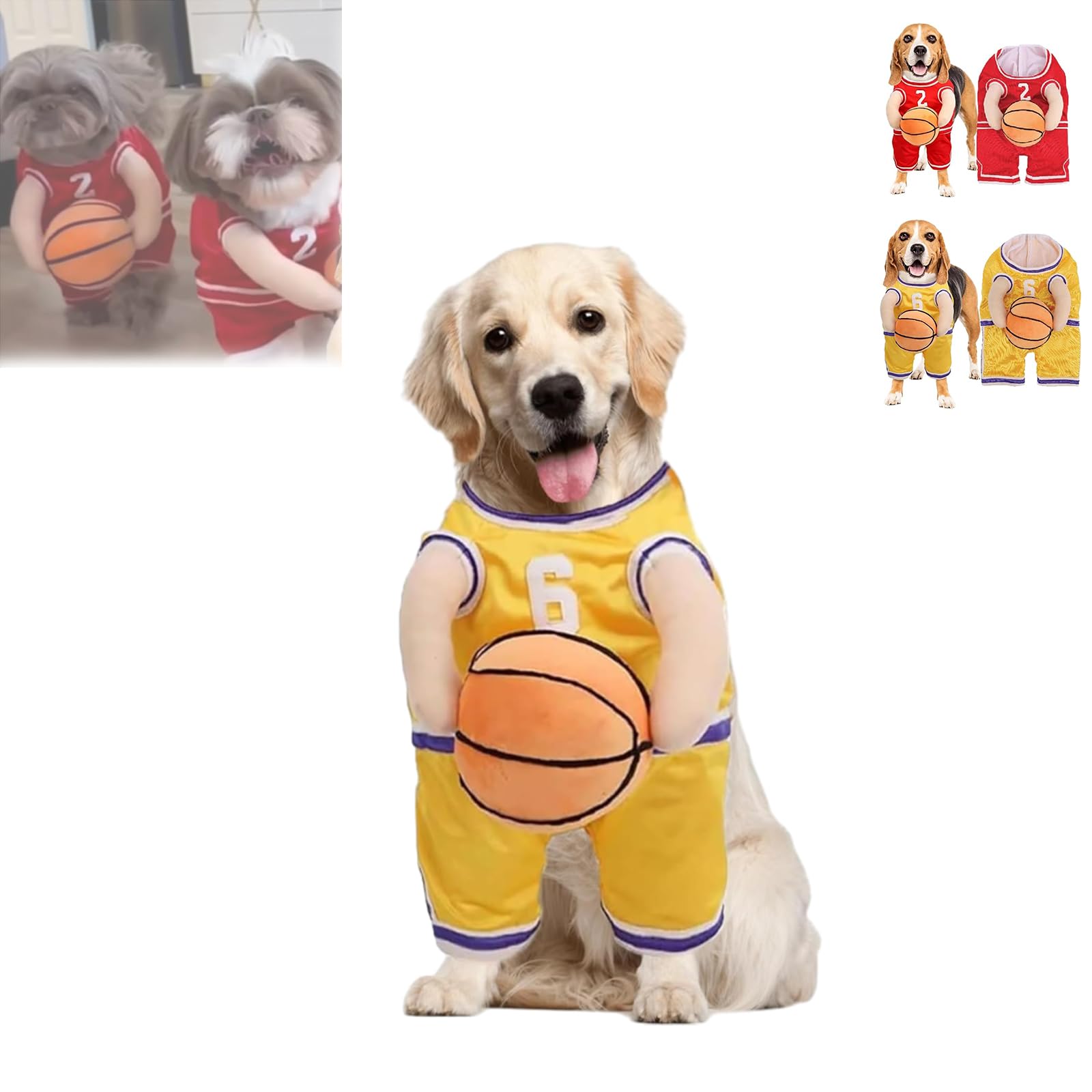 Amazon.com : Dog Basketball Costume with Ball, Dog Costume Basketball ...
