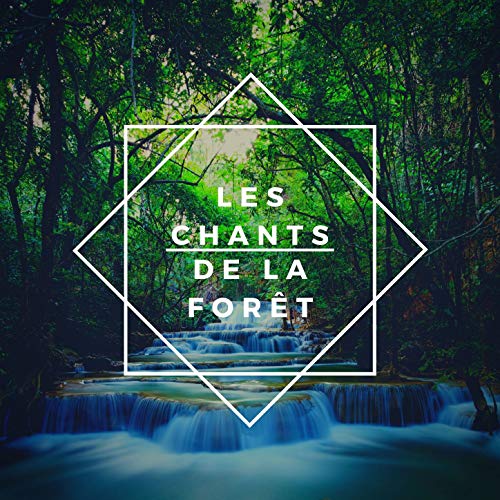Play Les chants de la forêt: Musique détressant avec sons de la forêt ...