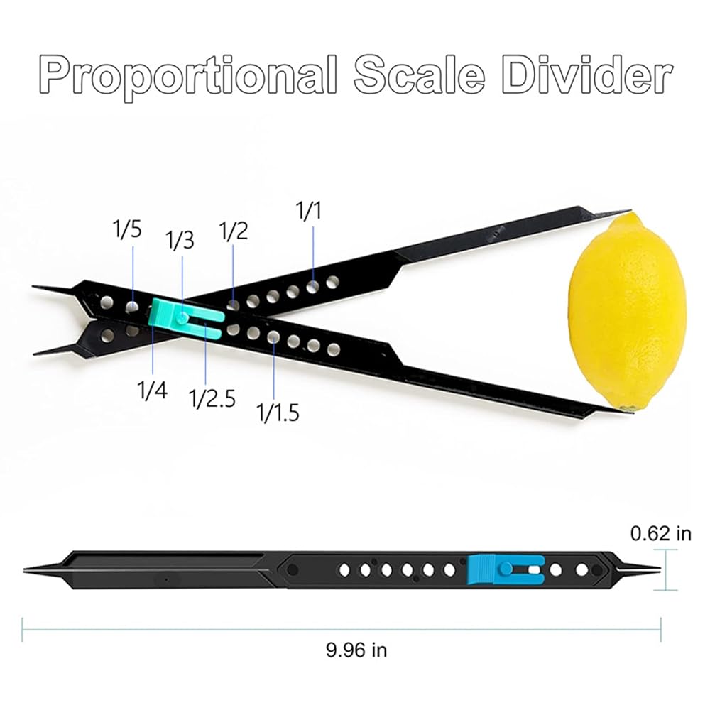 Scale Divider Proportional Scale Divider Drawing Australia | Ubuy